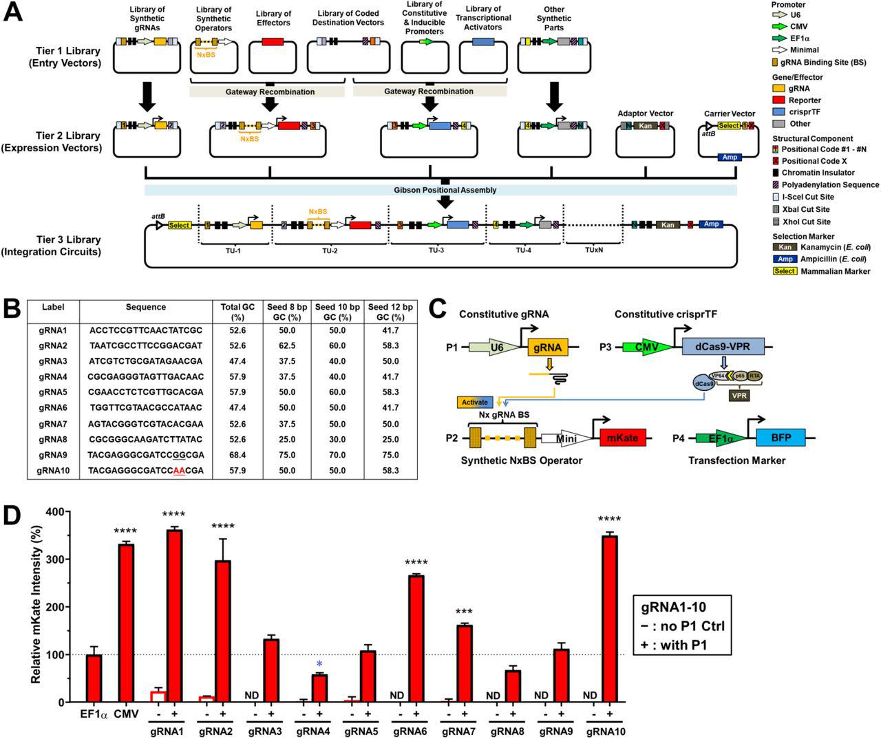 Adherent Wild Type Cho K1 Cells | ATCC | Bioz