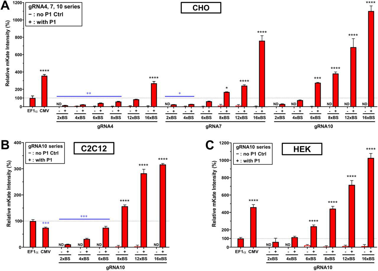 Adherent Wild Type Cho K1 Cells | ATCC | Bioz