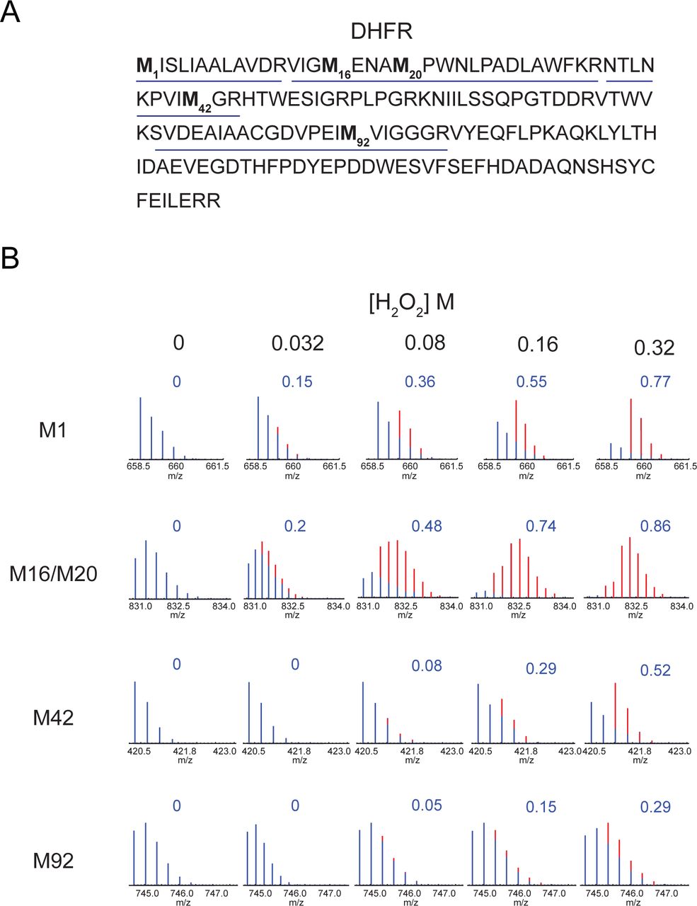 E Coli Protein Synthesis Kit | New England Biolabs | Bioz