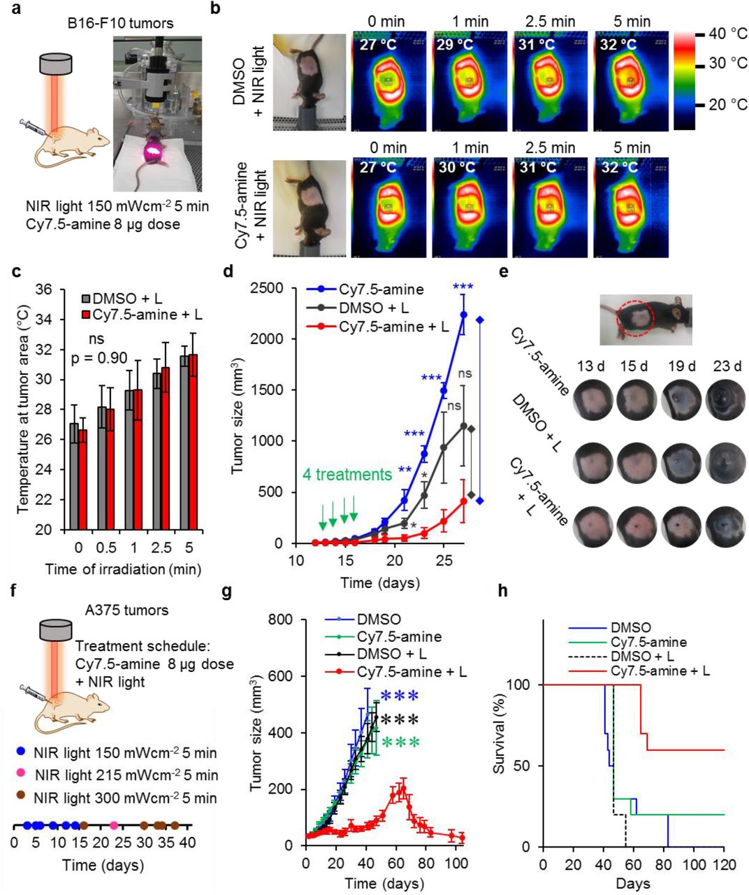 Jackson Laboratory C57Bl/6J at Peggy Bradley blog