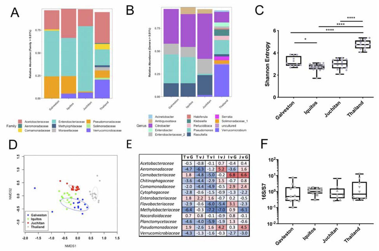 Universal 16s Rrna V3 V4 Region Primers | Illumina Inc | Bioz