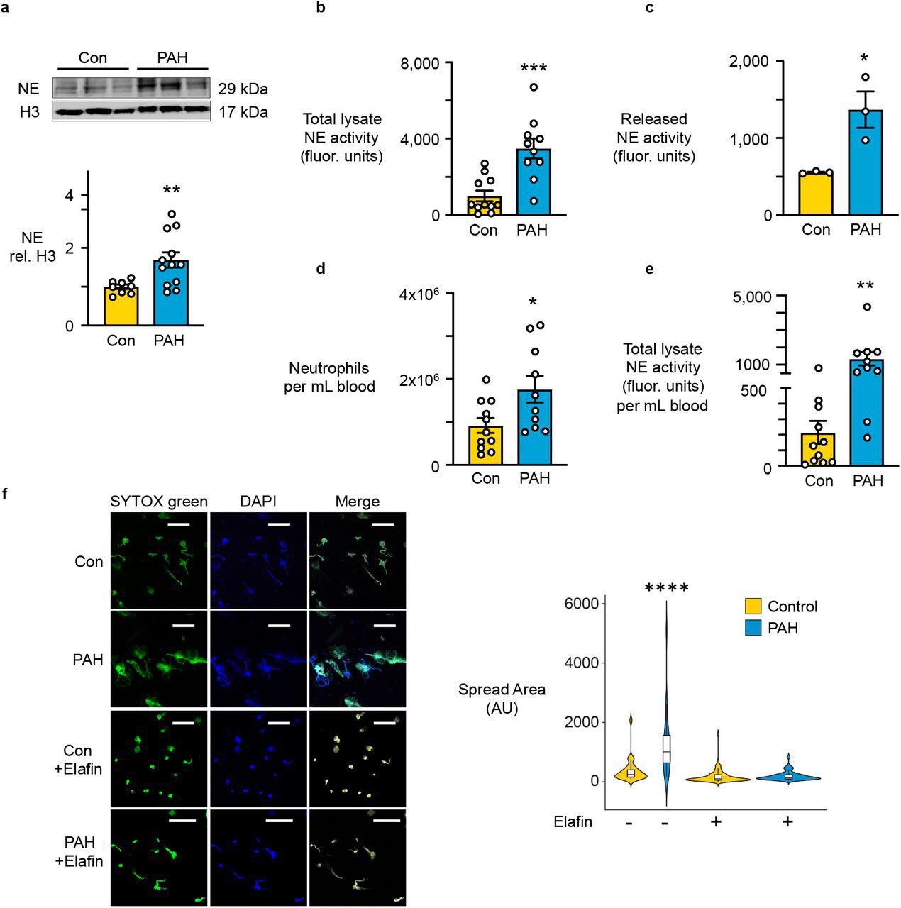 Cell Impermeant Sytox Green Nucleic Acid Stain | Thermo Fisher | Bioz