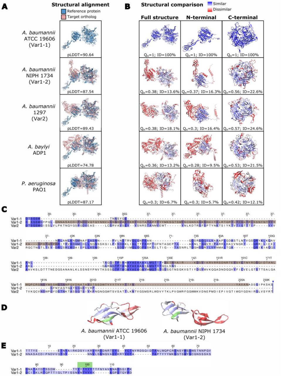 A Baumannii Atcc 19606 T4ap Components | ATCC | Bioz