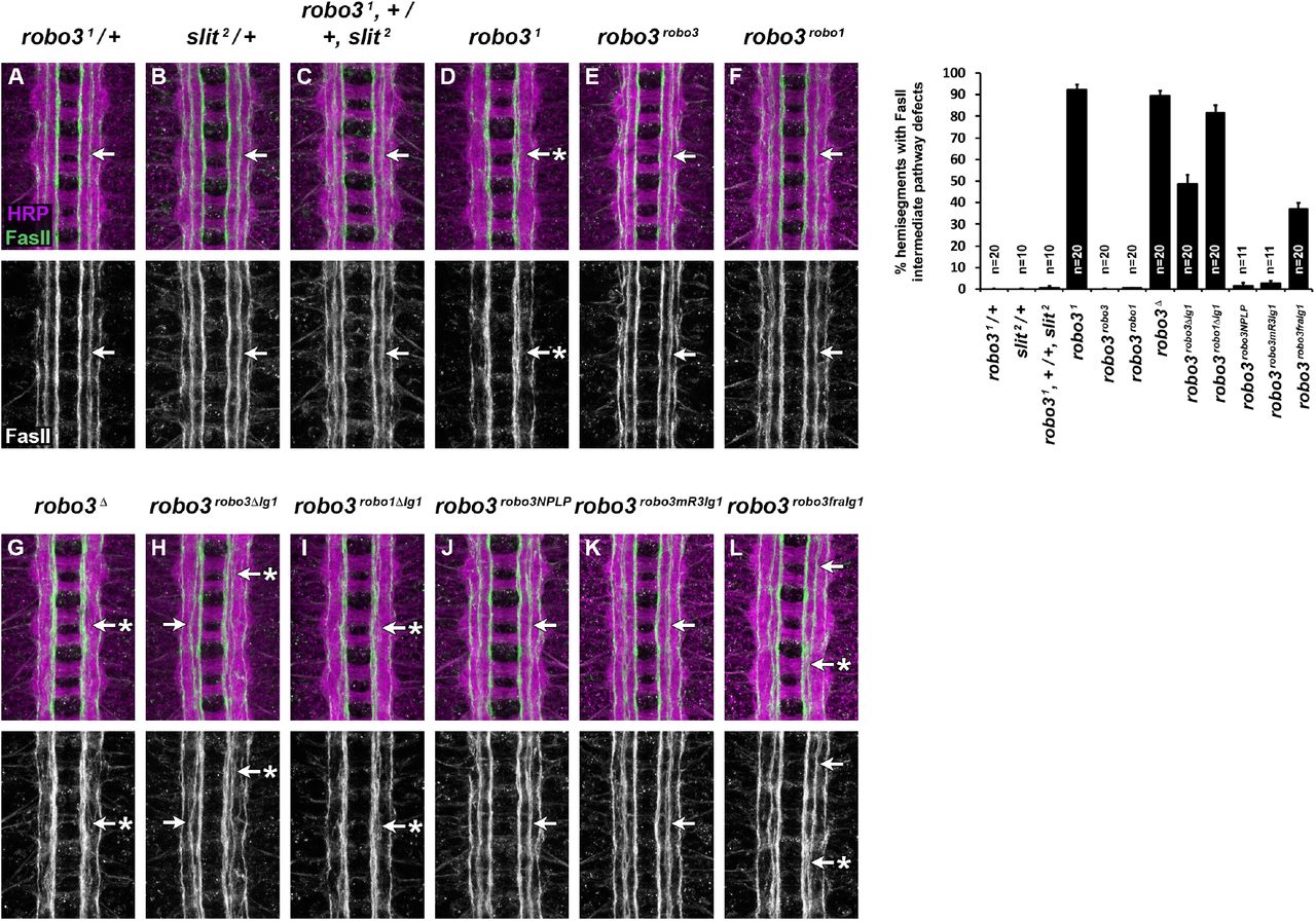 Fitc Conjugated Anti Hrp | Jackson Immuno | Bioz