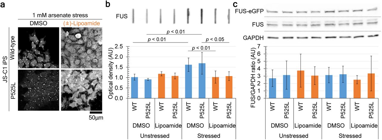 Fus Gfp Compound Mixture | Tecan Systems | Bioz