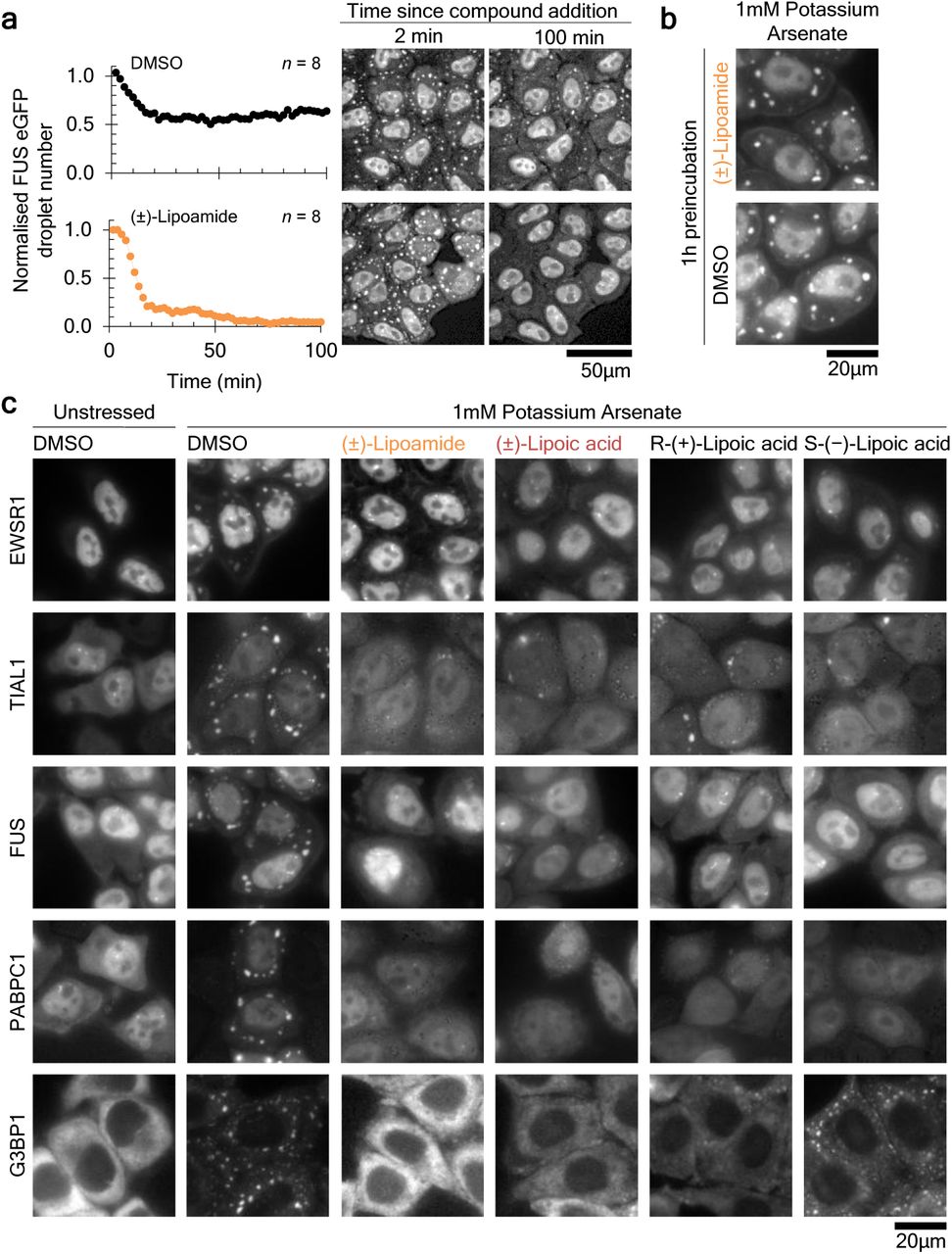 Fus Gfp Compound Mixture | Tecan Systems | Bioz