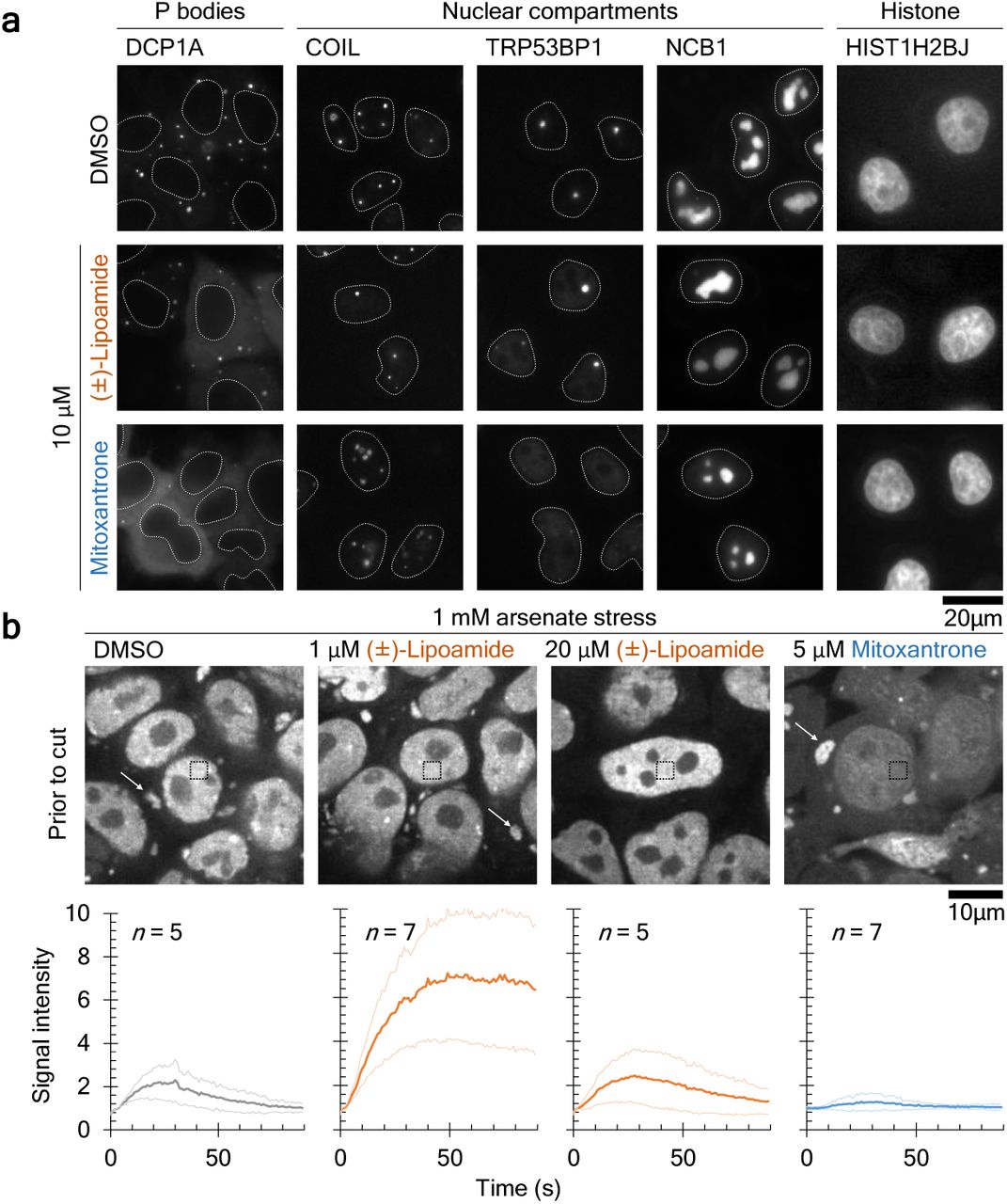 Fus Gfp Compound Mixture | Tecan Systems | Bioz