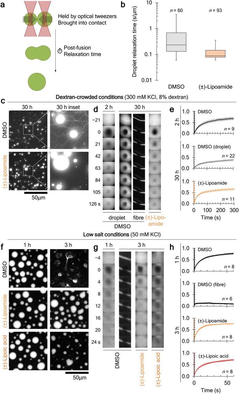 Fus Gfp Compound Mixture | Tecan Systems | Bioz