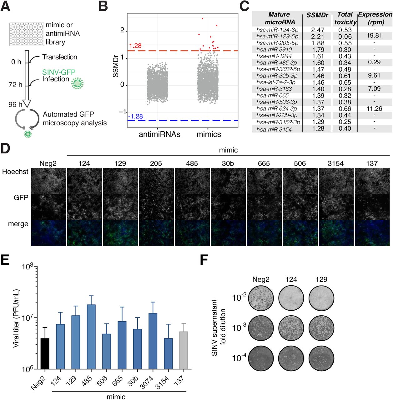 Interferin Hts Transfection Reagent | Polyplus-transfection SA | Bioz