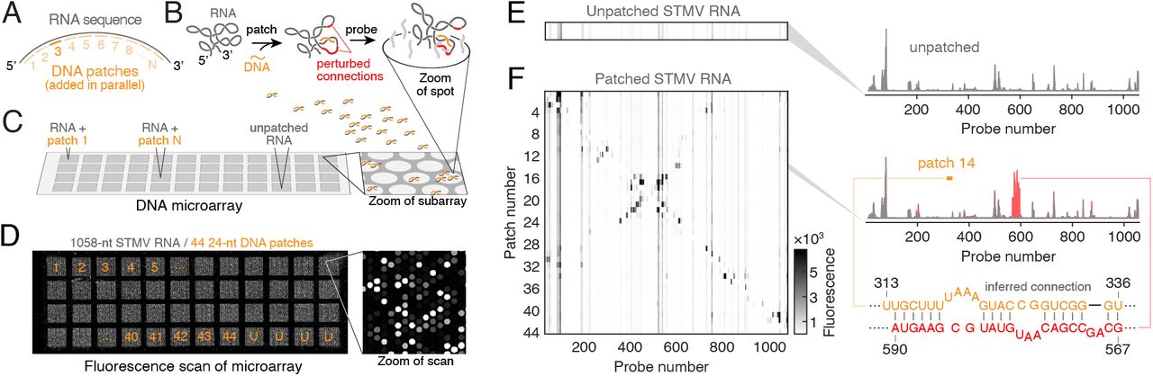 Microarray Scanner | Agilent technologies | Bioz