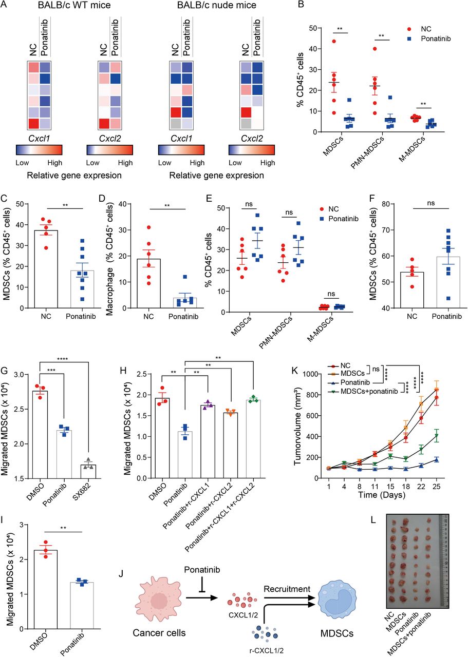 Mdscs Isolation Kit | Miltenyi Biotec | Bioz