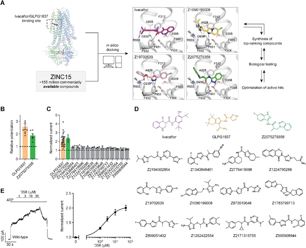 Protein Kinase A Pka | New England Biolabs | Bioz