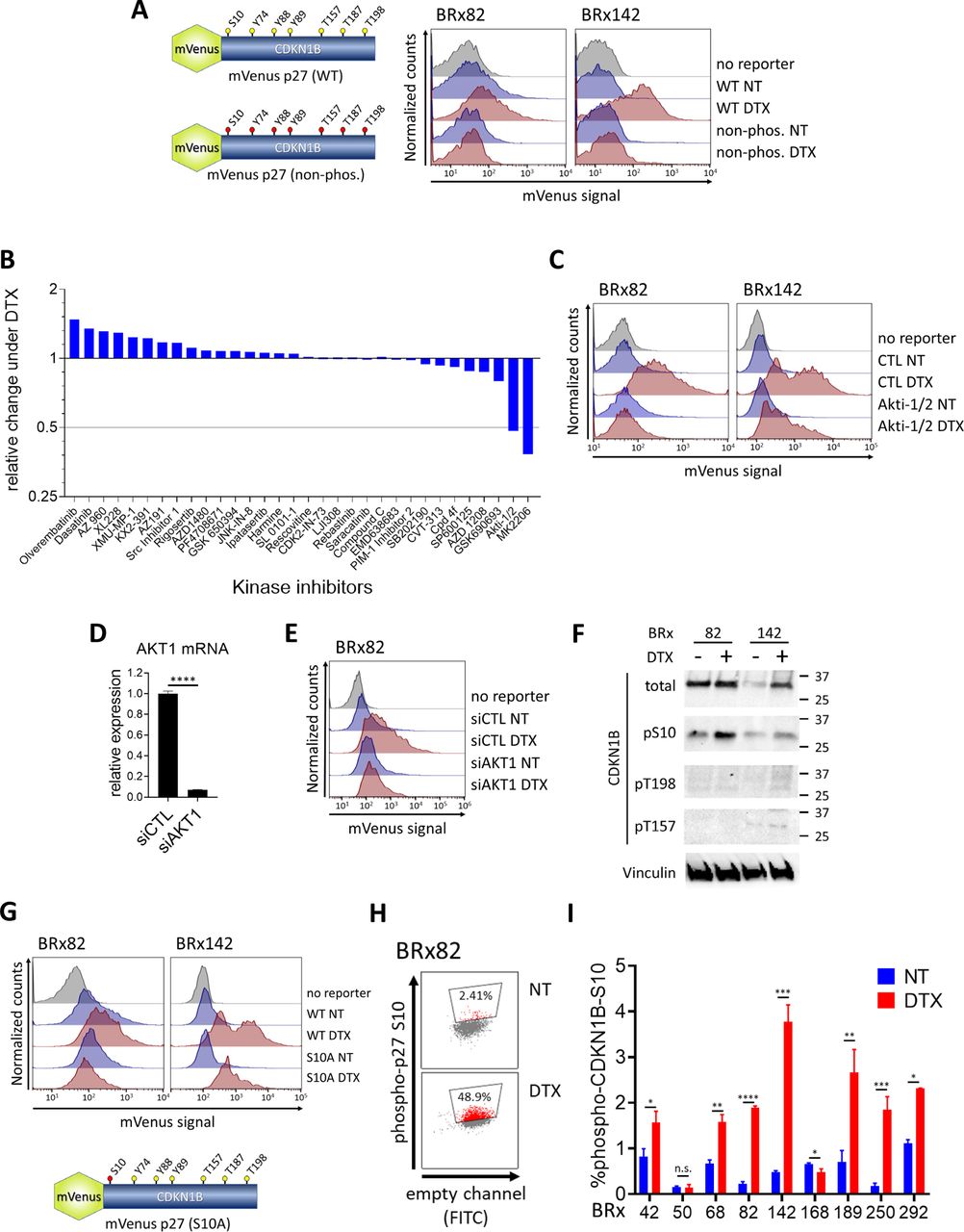 Non Targeting Sirna Pools | Thermo Fisher | Bioz
