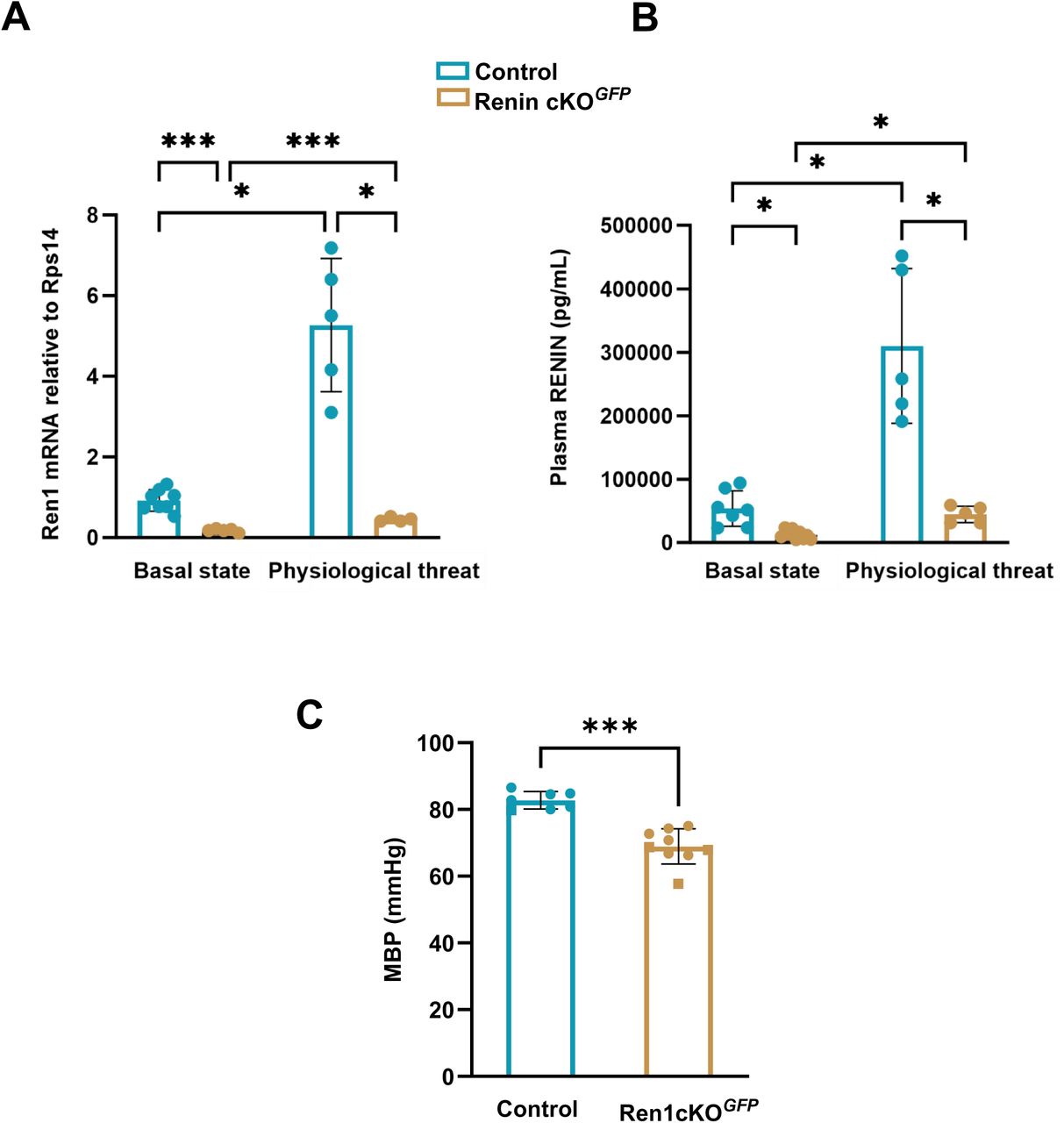 R26r Mtmg Mice | Jackson Laboratory | Bioz