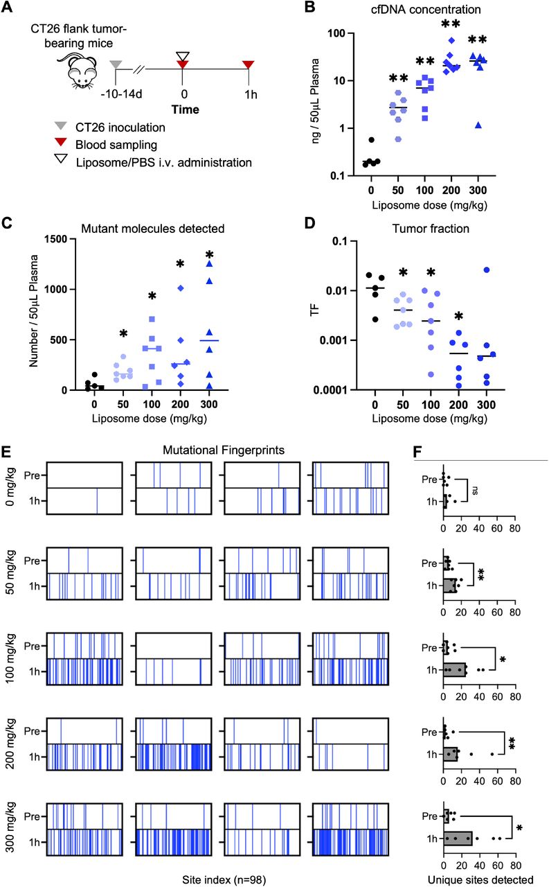 106 Ct26 Cells | Thermo Fisher | Bioz