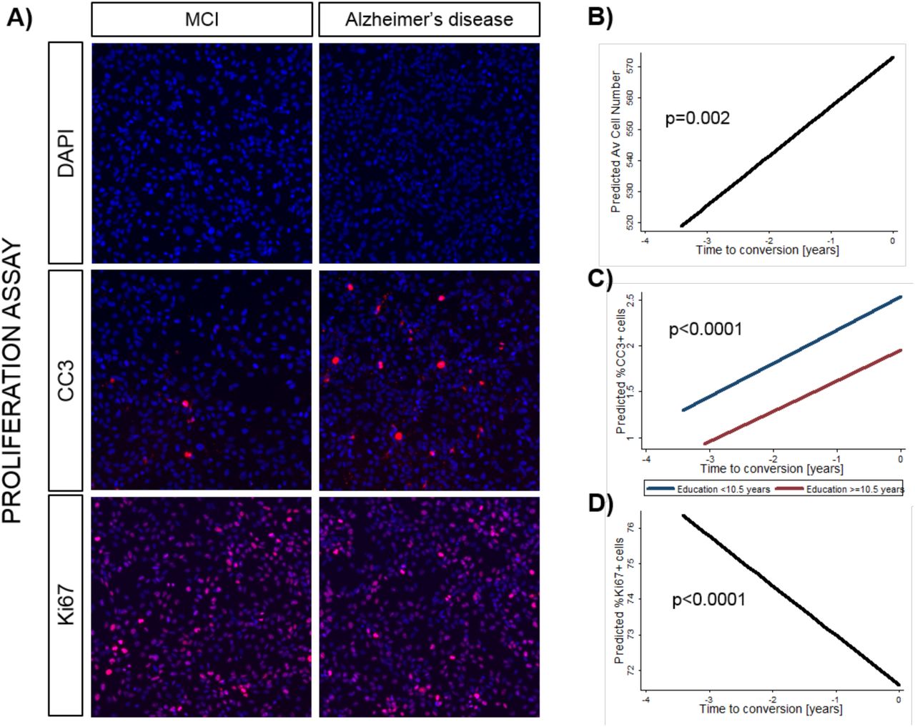Multipotent Human Hippocampal Progenitor Stem Cell Line Hpc0a07 03c ...