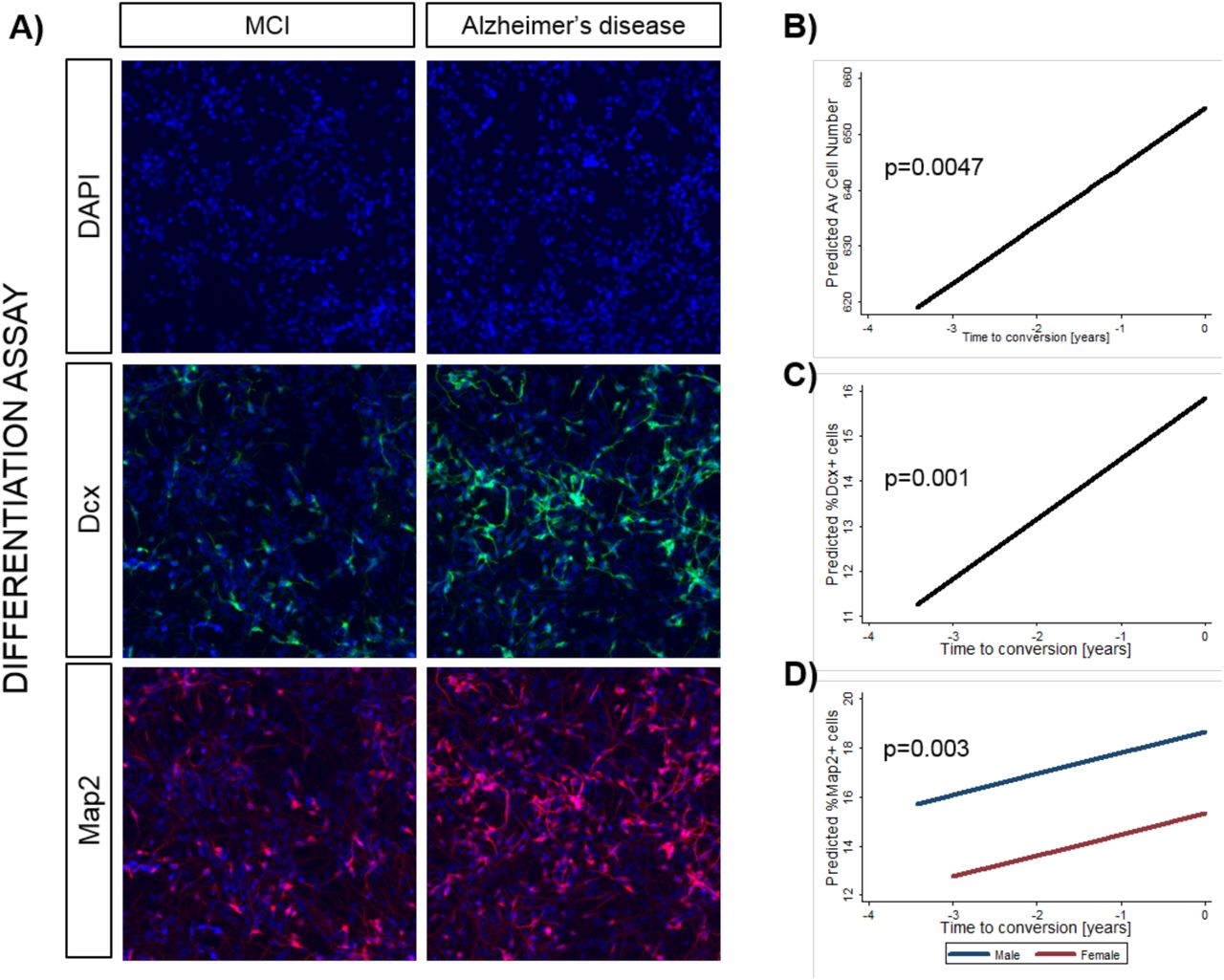 Multipotent Human Hippocampal Progenitor Stem Cell Line Hpc0a07 03c ...