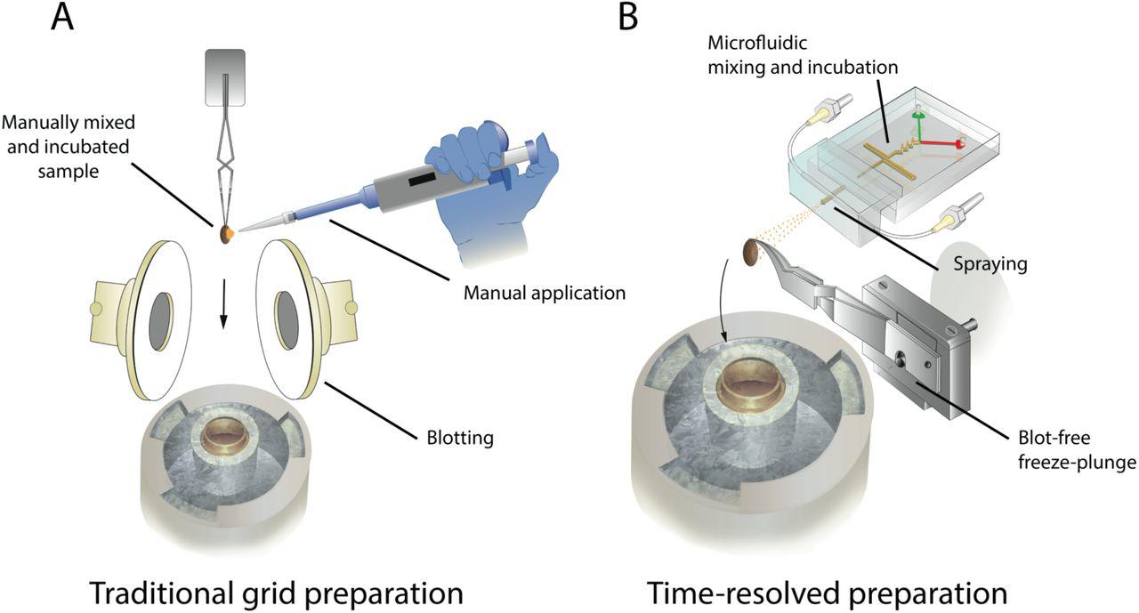 Standard Vitrobot Ethane Nitrogen Container | Thermo Fisher | Bioz