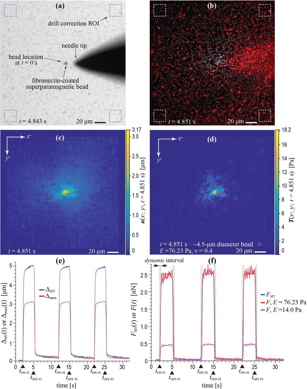 Red Fluorescent Polystyrene Microbeads | Thermo Fisher | Bioz