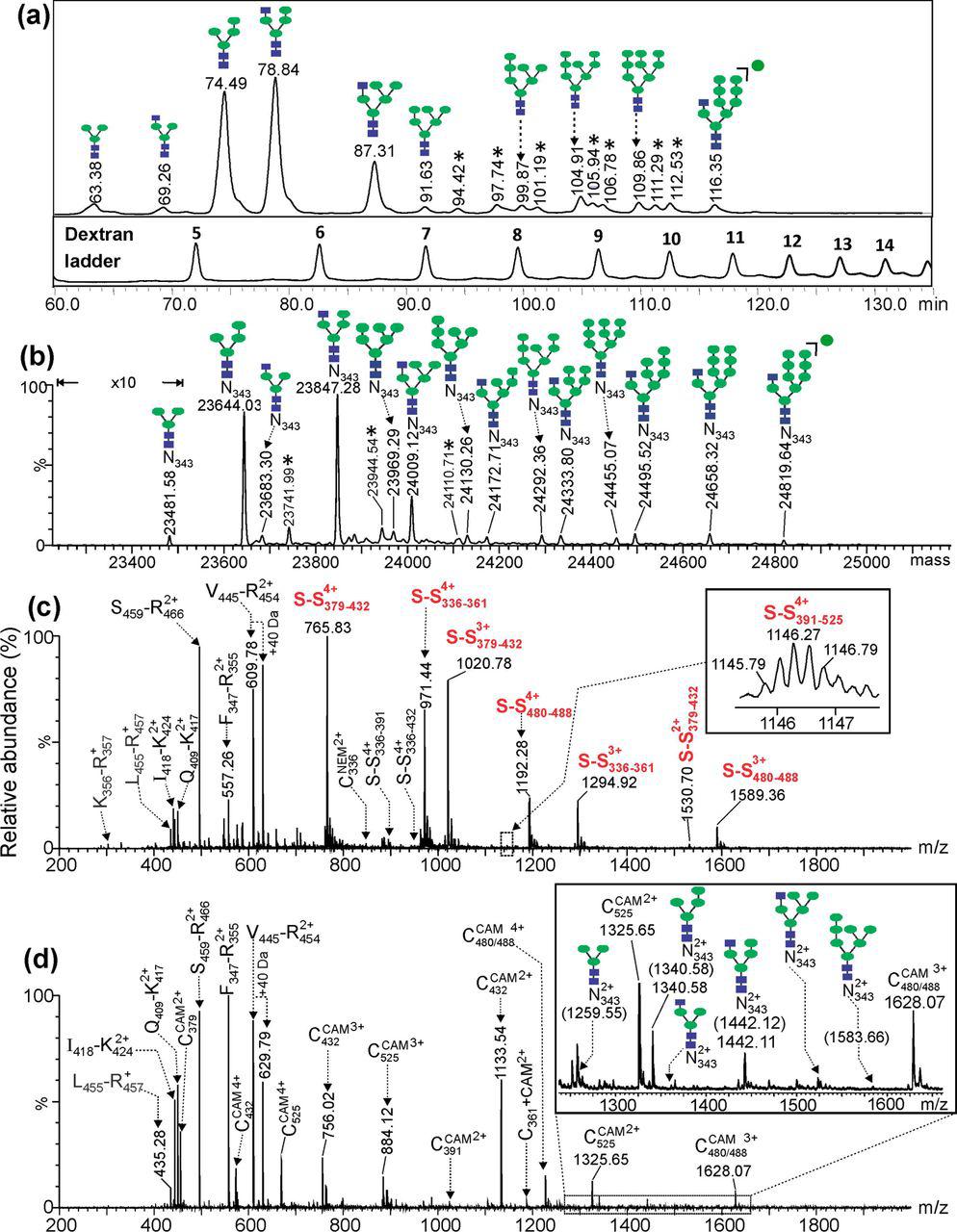 Pngase F | Millipore | Bioz