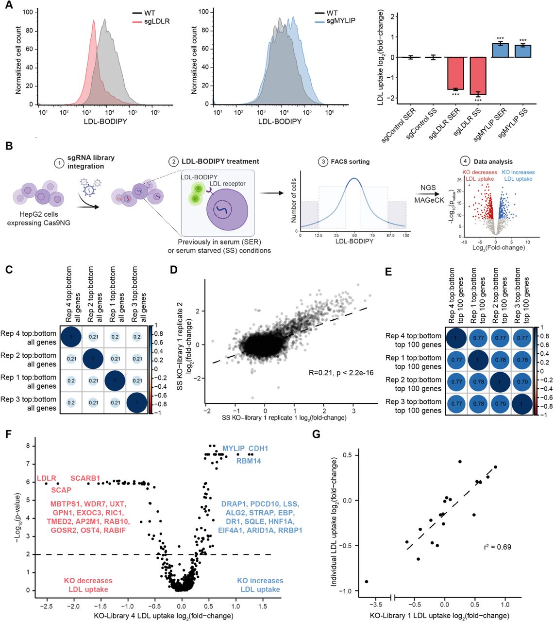 Bodipy Fl Ldl | Thermo Fisher | Bioz