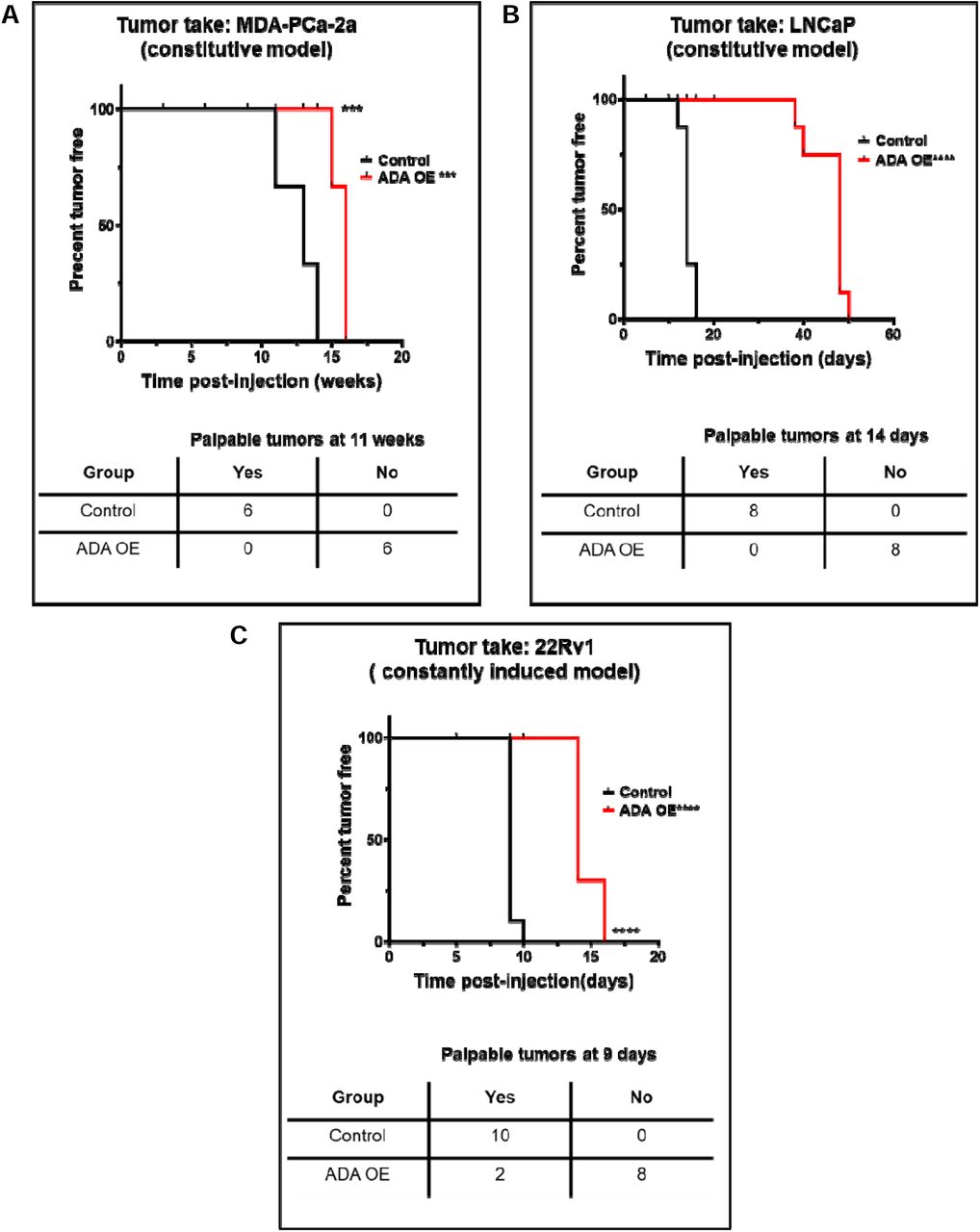 22rv1 Cell Lines | ATCC | Bioz