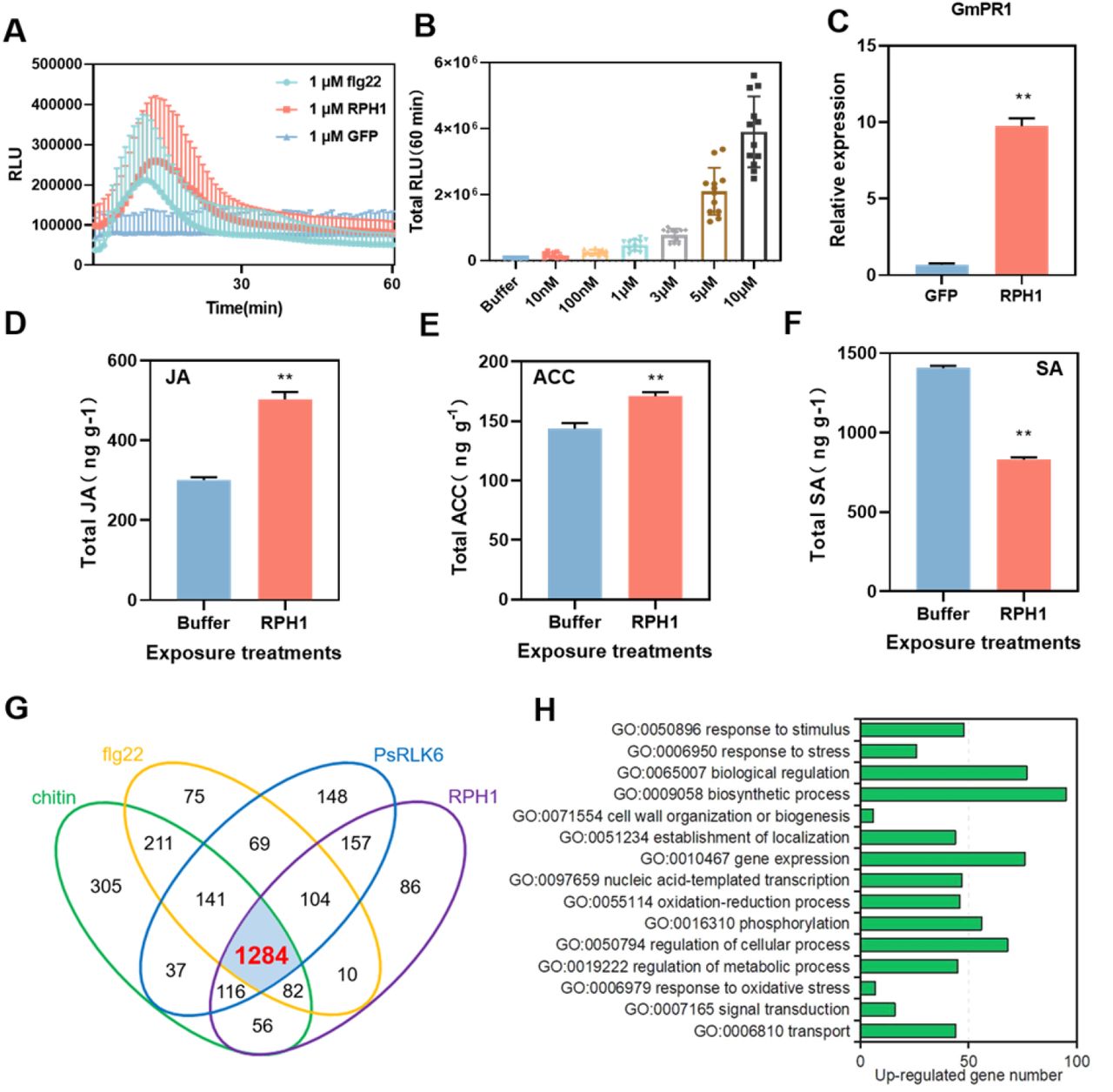 Antibodies Anti Gfp | Abmart Inc | Bioz