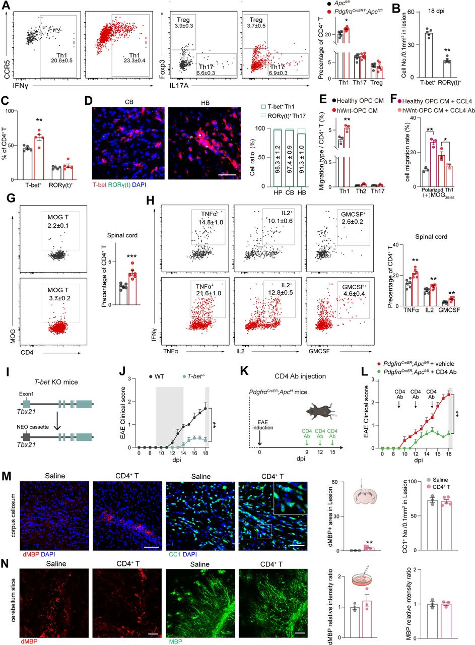 Rabbit Anti Dmbp | Millipore | Bioz