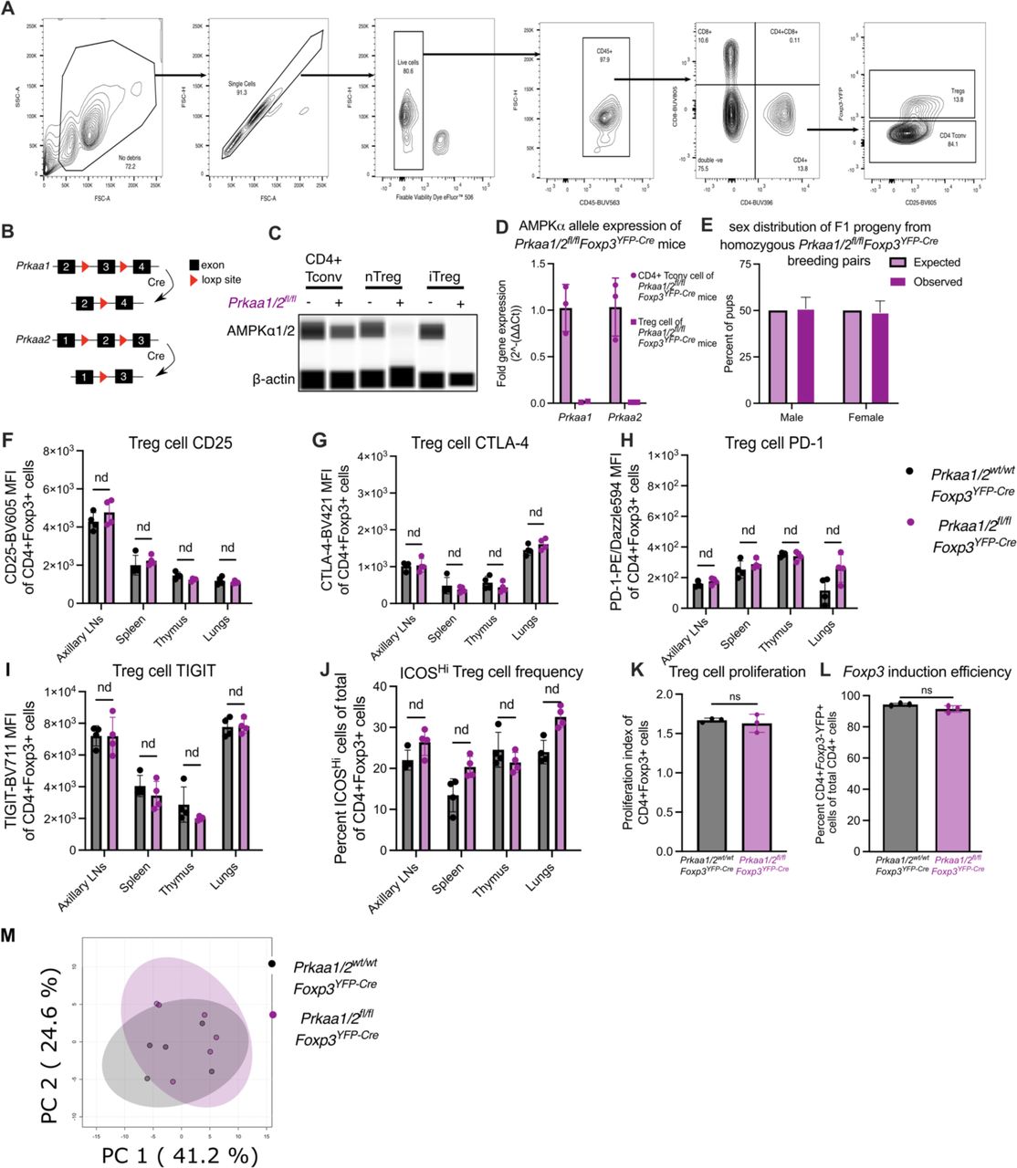 Foxp3 Cre Yfp | The Jackson Laboratory | Bioz