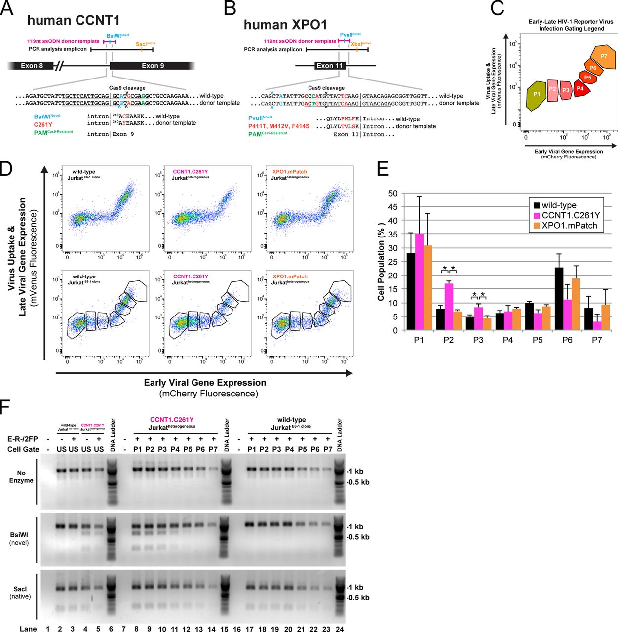 Alt R Tm Cas9 Electroporation Enhancer | Integrated DNA Technologies | Bioz
