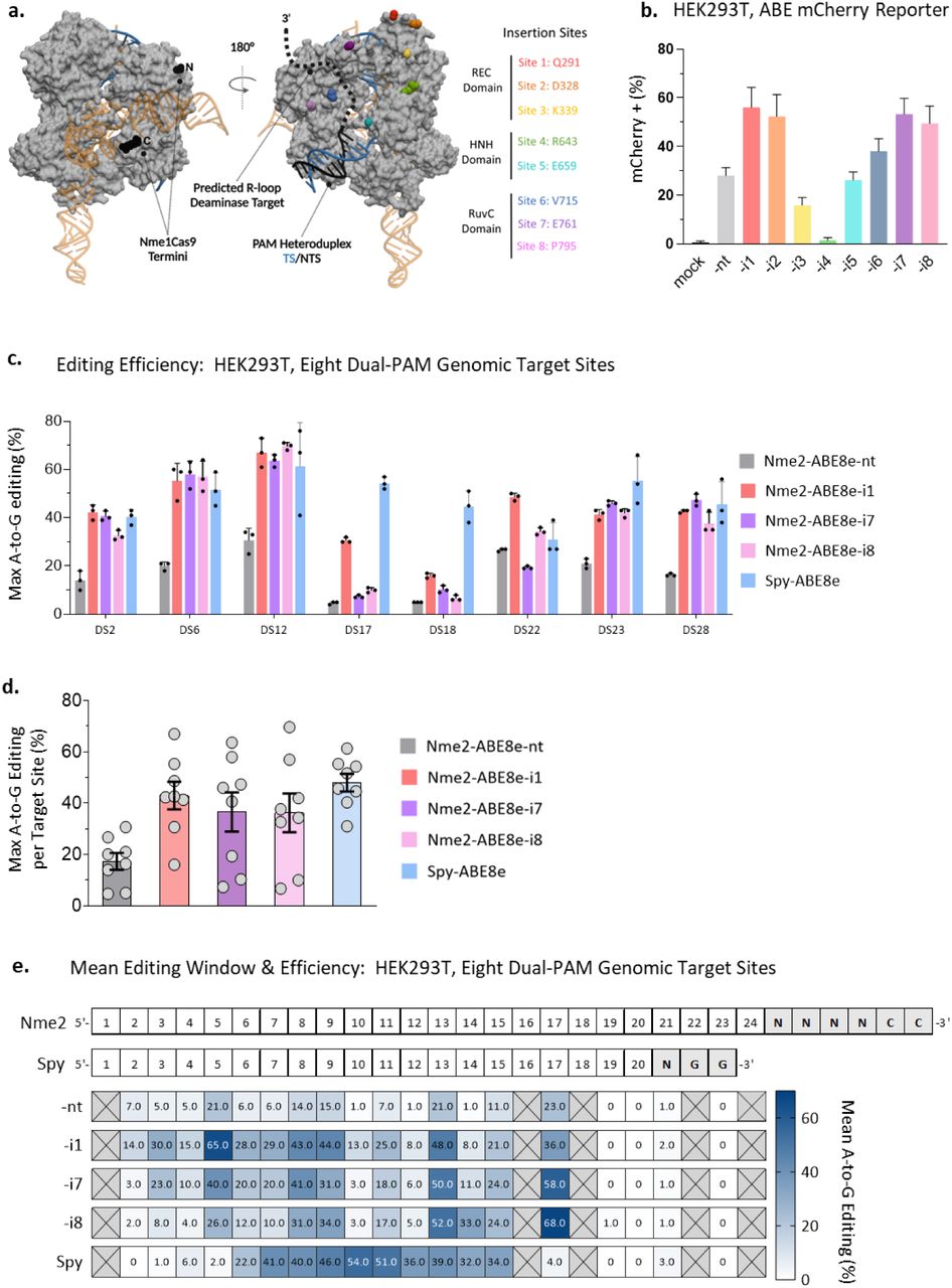 Neon Transfection System | Thermo Fisher | Bioz