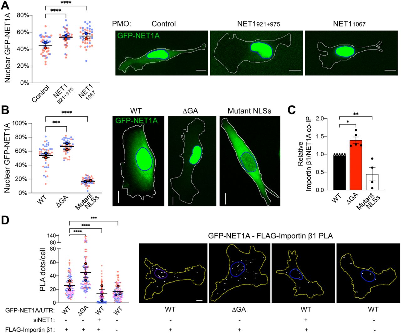 Co Immunoprecipitation | Thermo Fisher | Bioz