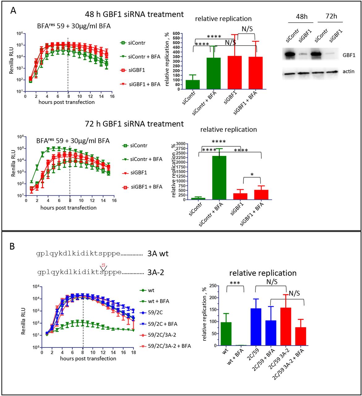 Renilla Luciferase Substrate Enduren | Promega | Bioz