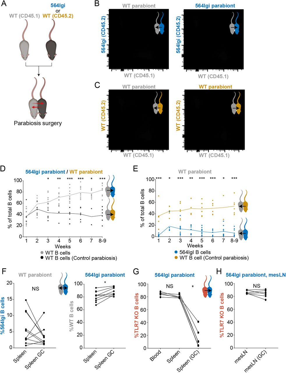 Tlr7 | The Jackson Laboratory | Bioz