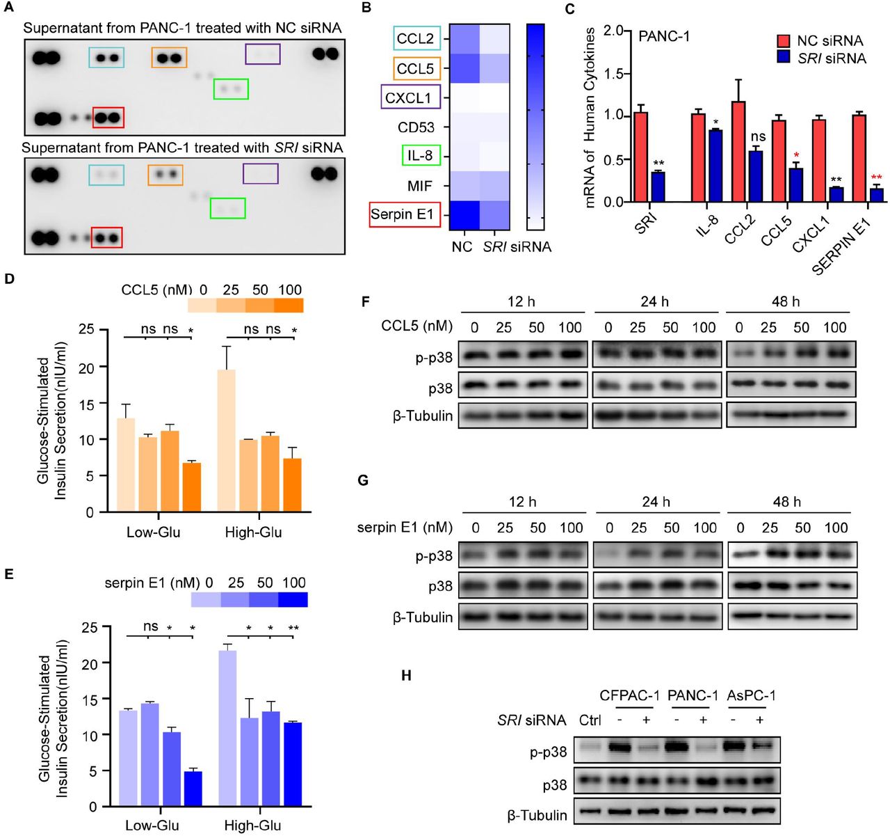 Min6 Cells | ATCC | Bioz