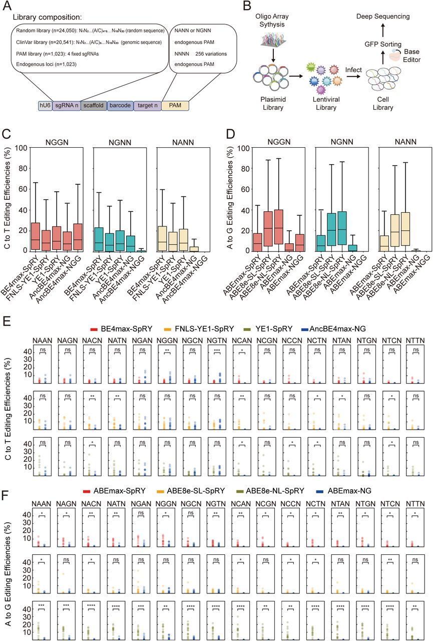 Blood Cell Culture Dna Midi Kit | Qiagen | Bioz