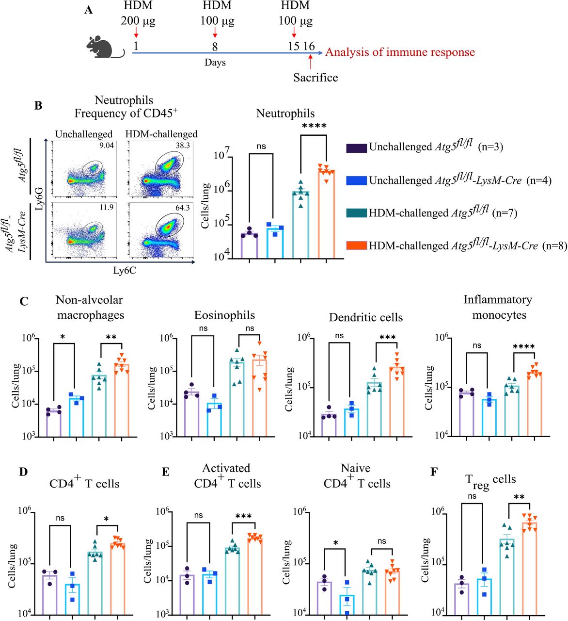 Lysm Cre Mice | The Jackson Laboratory | Bioz