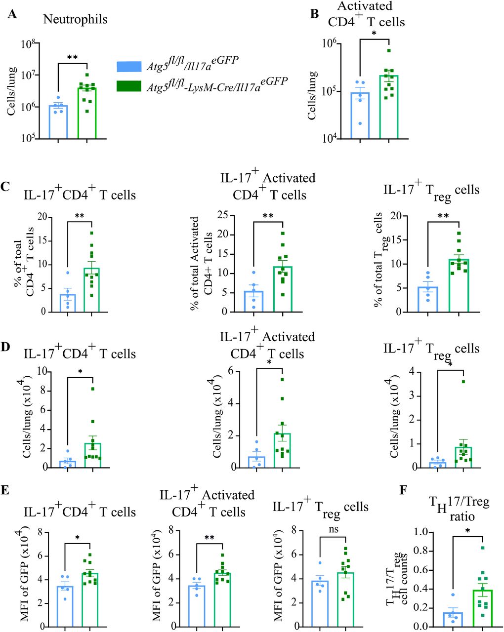 Lysm Cre Mice | The Jackson Laboratory | Bioz