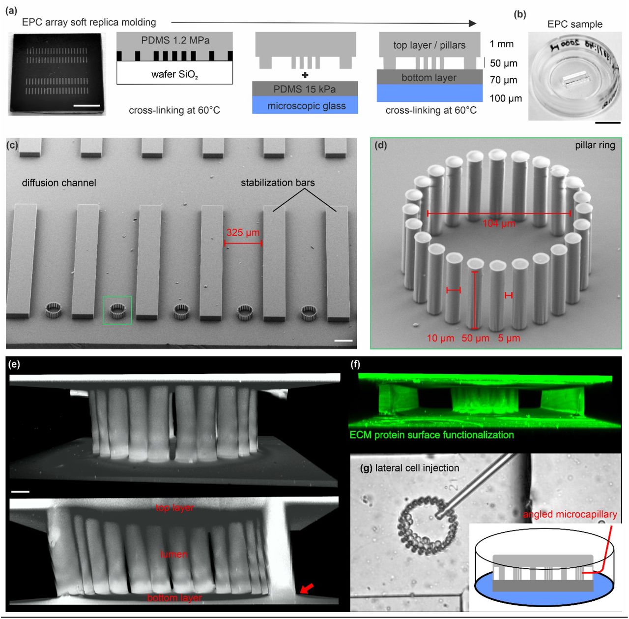 Su 8 Developer | MicroChem corp | Bioz