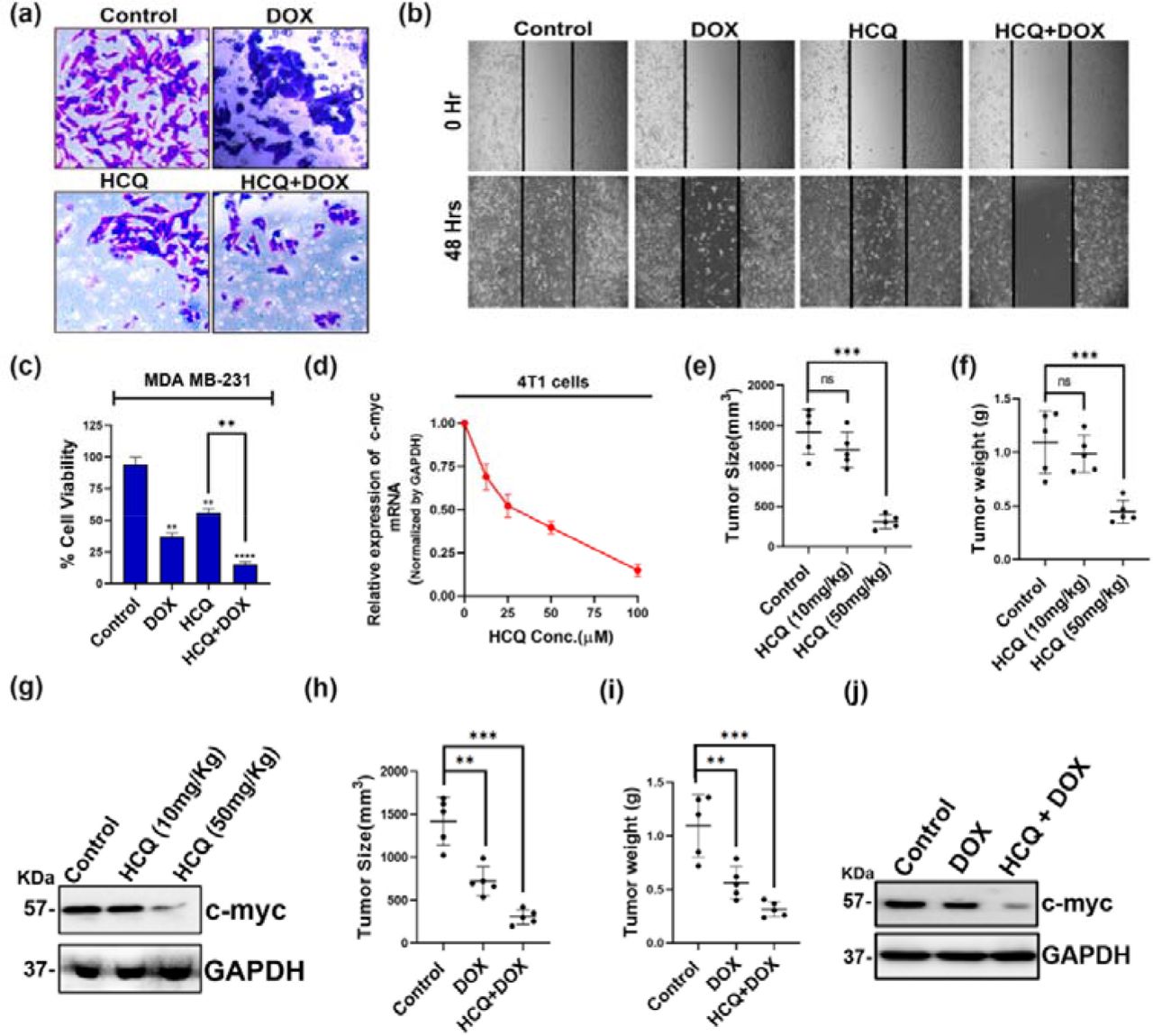 Murine 4t1 Cell Line | ATCC | Bioz