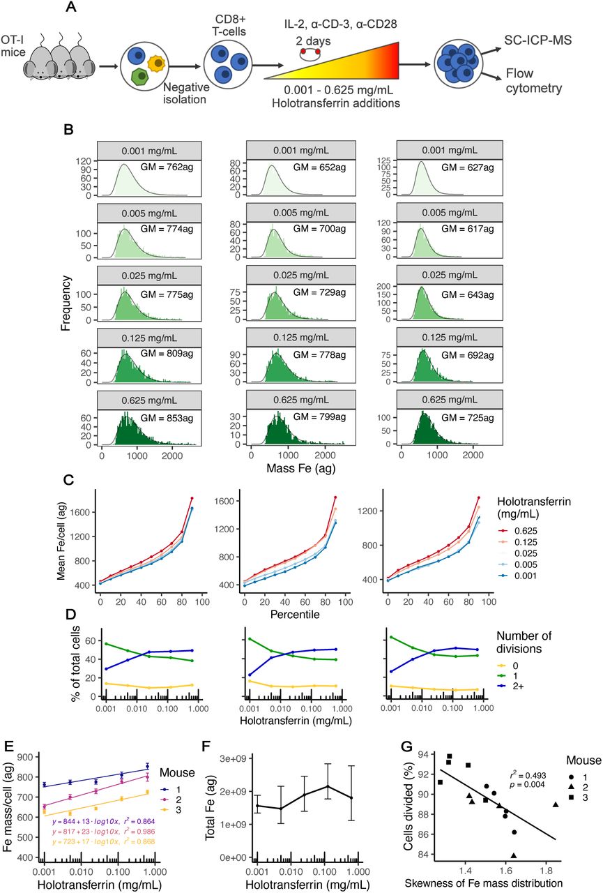 Human Holo Transferrin Protein, Cf | Bio-Techne corporation | Bioz
