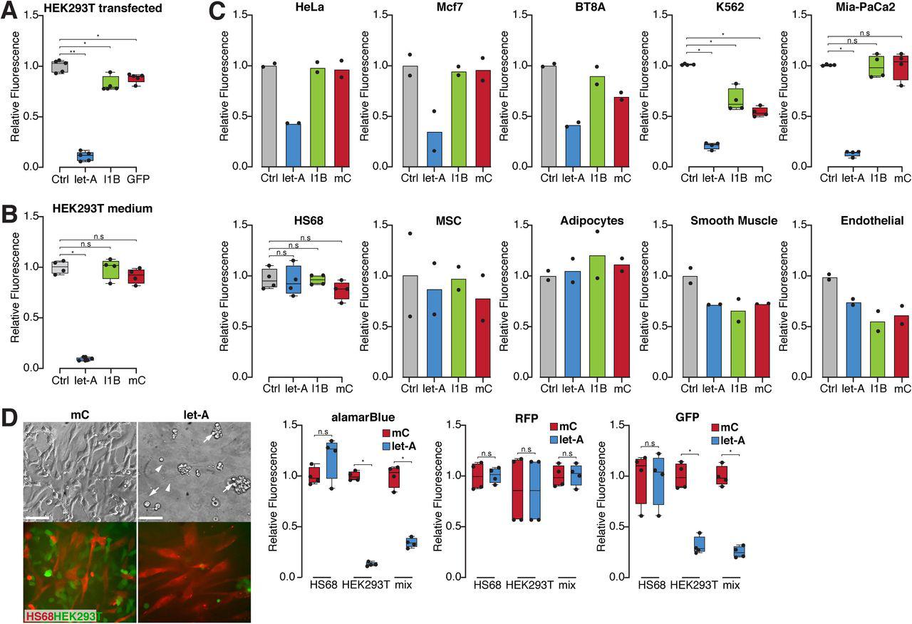 Primary Mesenchymal Cells | ATCC | Bioz