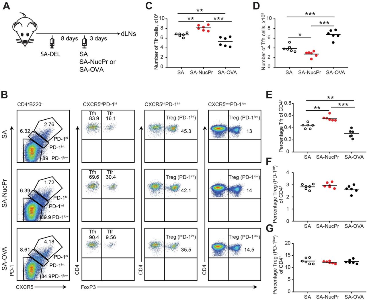 Foxp3 Intracellular Staining Kit | Thermo Fisher | Bioz