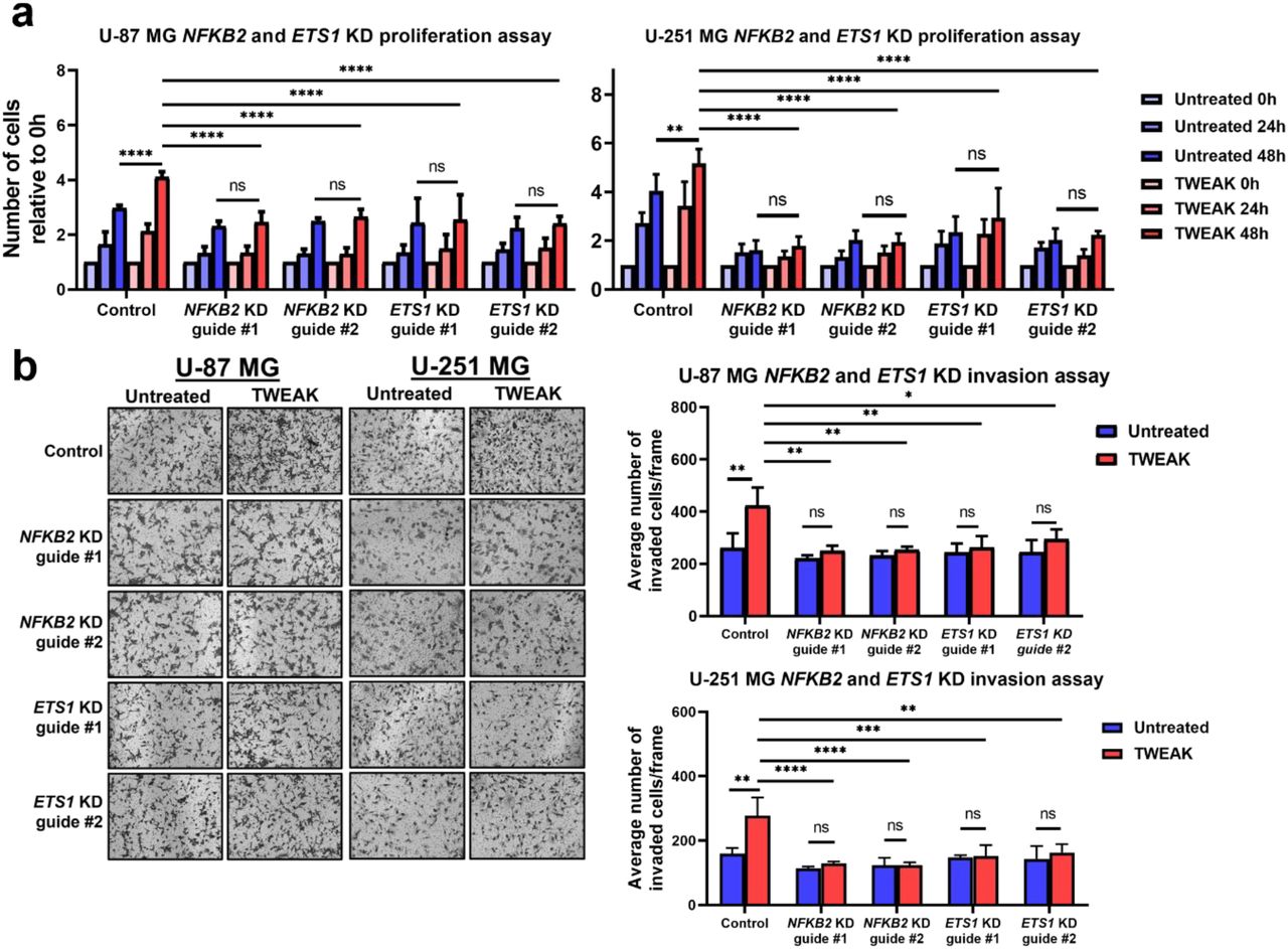 U 251 Mg Cell Line | ATCC | Bioz
