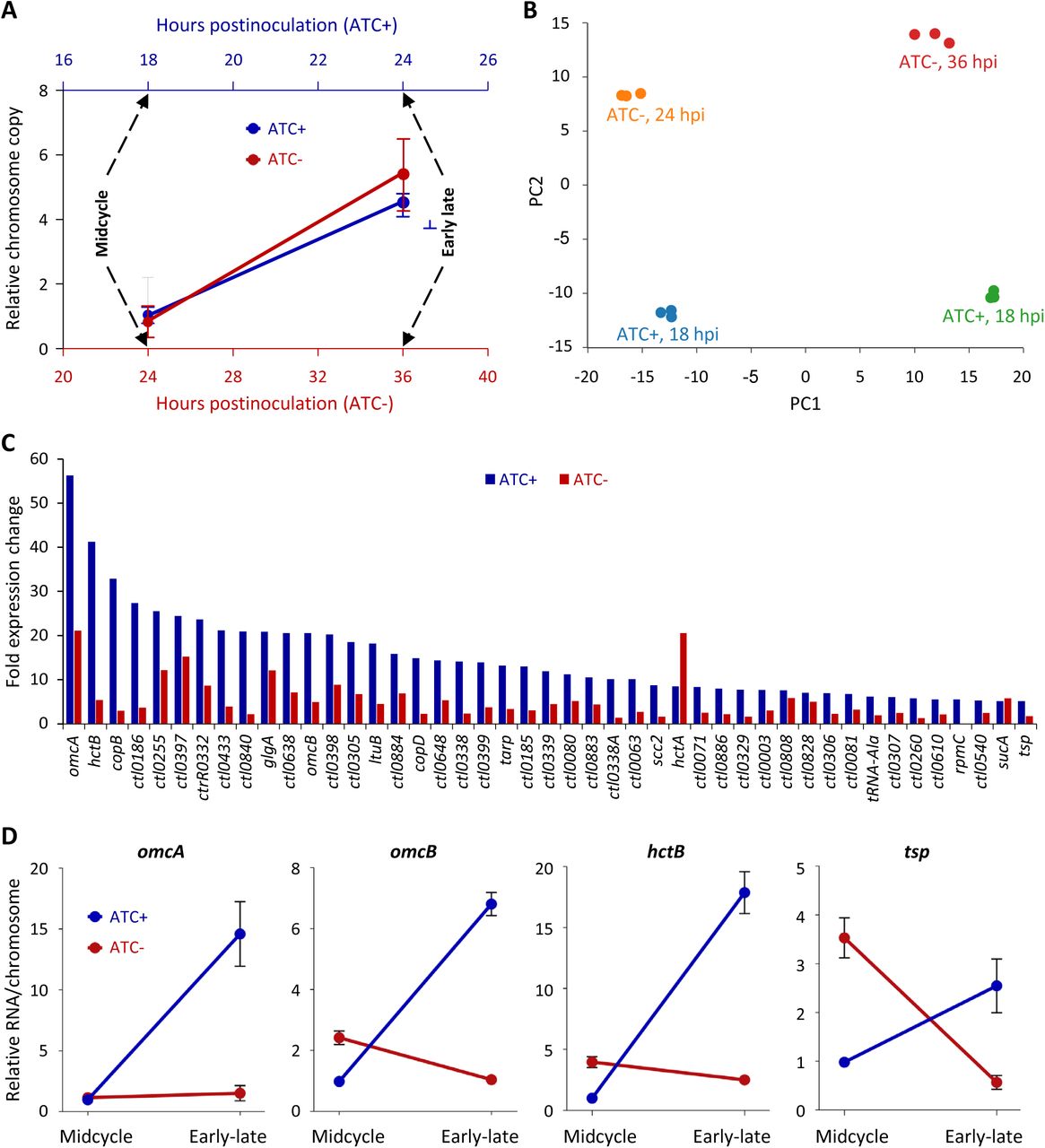 One Step Qrt Pcr Kit | New England Biolabs | Bioz