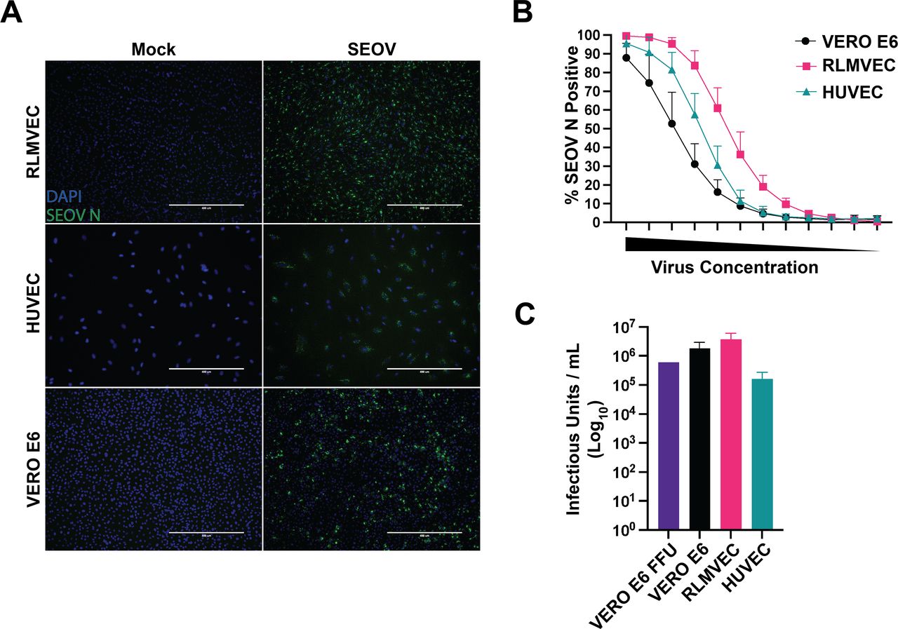 Cellinsight Cx7 High Content Screening Platform | Thermo Fisher | Bioz