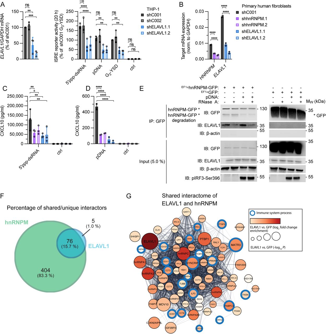 Anti Flag Tag | PerkinElmer | Bioz