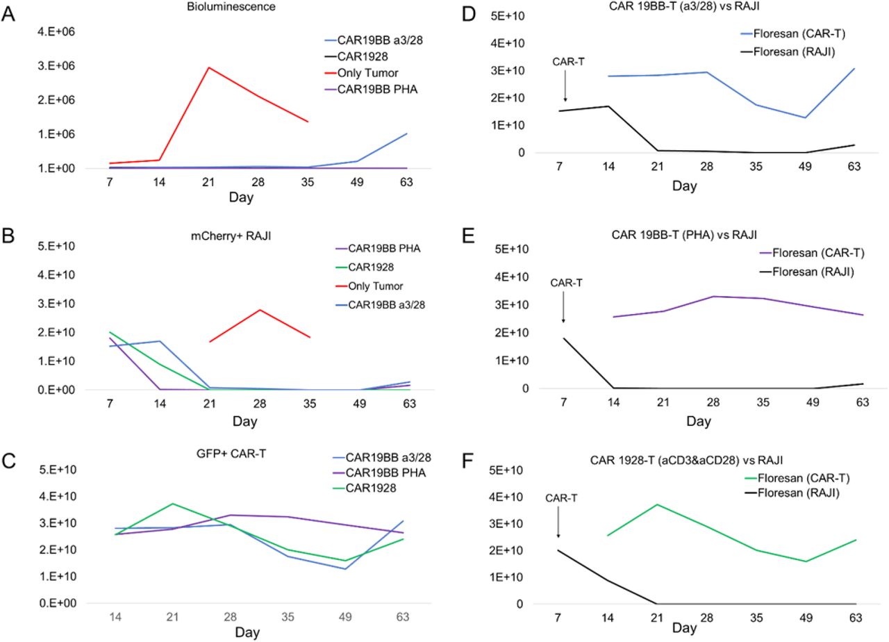 Anti Cd3 Microbeads | Miltenyi Biotec | Bioz