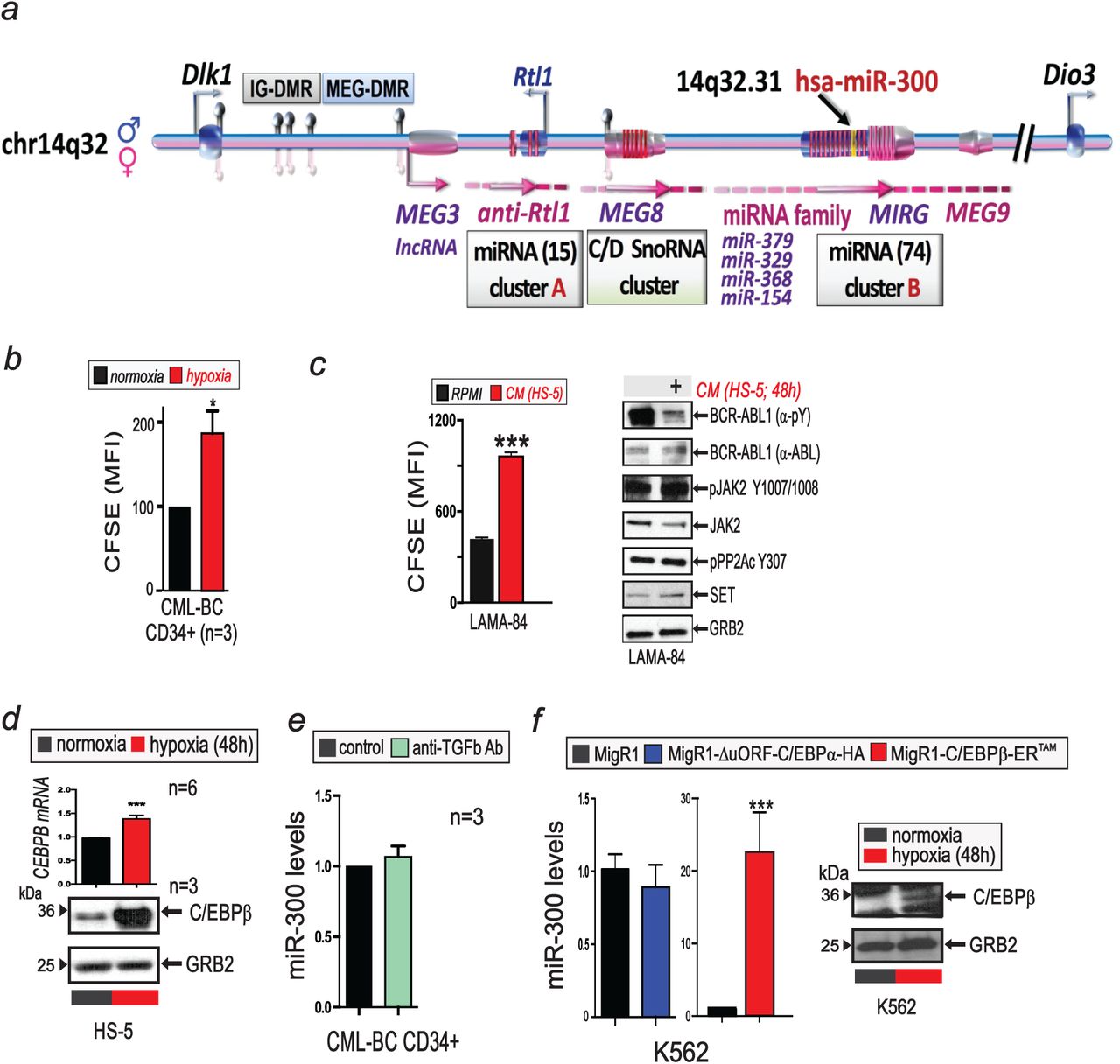 Bcr Abl1 Dual Color Double Fusion Probe Set | Cytocell Inc | Bioz