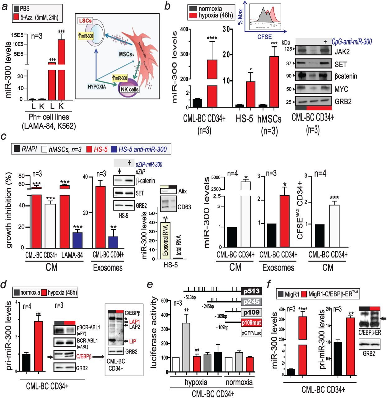 Bcr Abl1 Dual Color Double Fusion Probe Set | Cytocell Inc | Bioz
